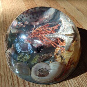 Vintage | Accents | Large Resin Paperweight Vomit Lucite Embedded Sea ...